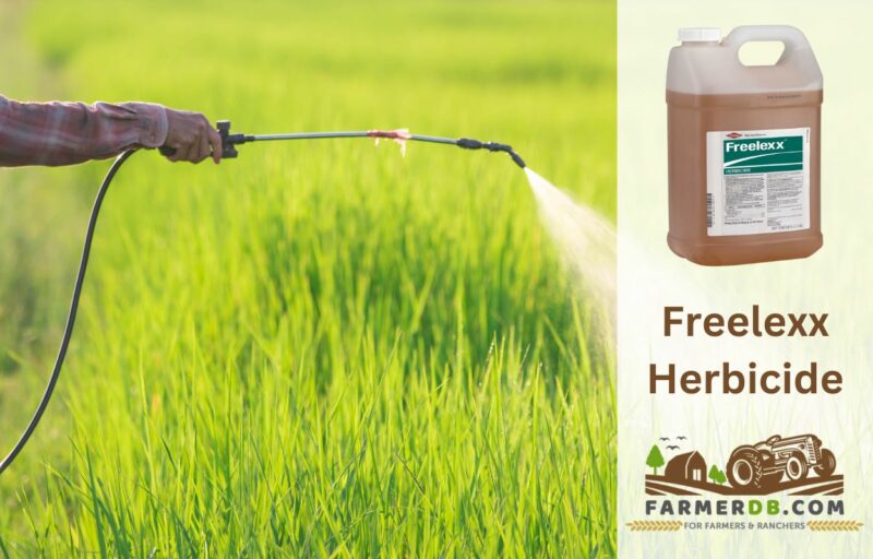Freelexx herbicide: How to Use It, Mix It, and Which Weeds It Kills ...